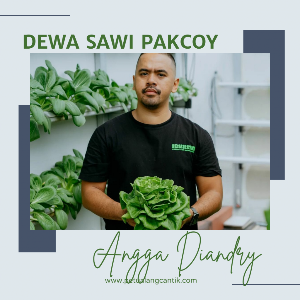 Belajar Berkebun Pada Dewa Sawi Pakcoy – Petualang Cantik